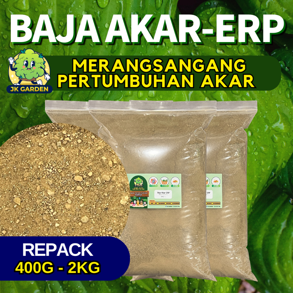 Merangsangang Pertumbuhan Akar】Baja Akar - ERP Egyptian Rock Phosphate ...