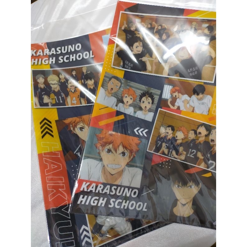 Original TTA Haikyuu File Karasuno Hinata Kageyama Seijoh A4 Folder ...