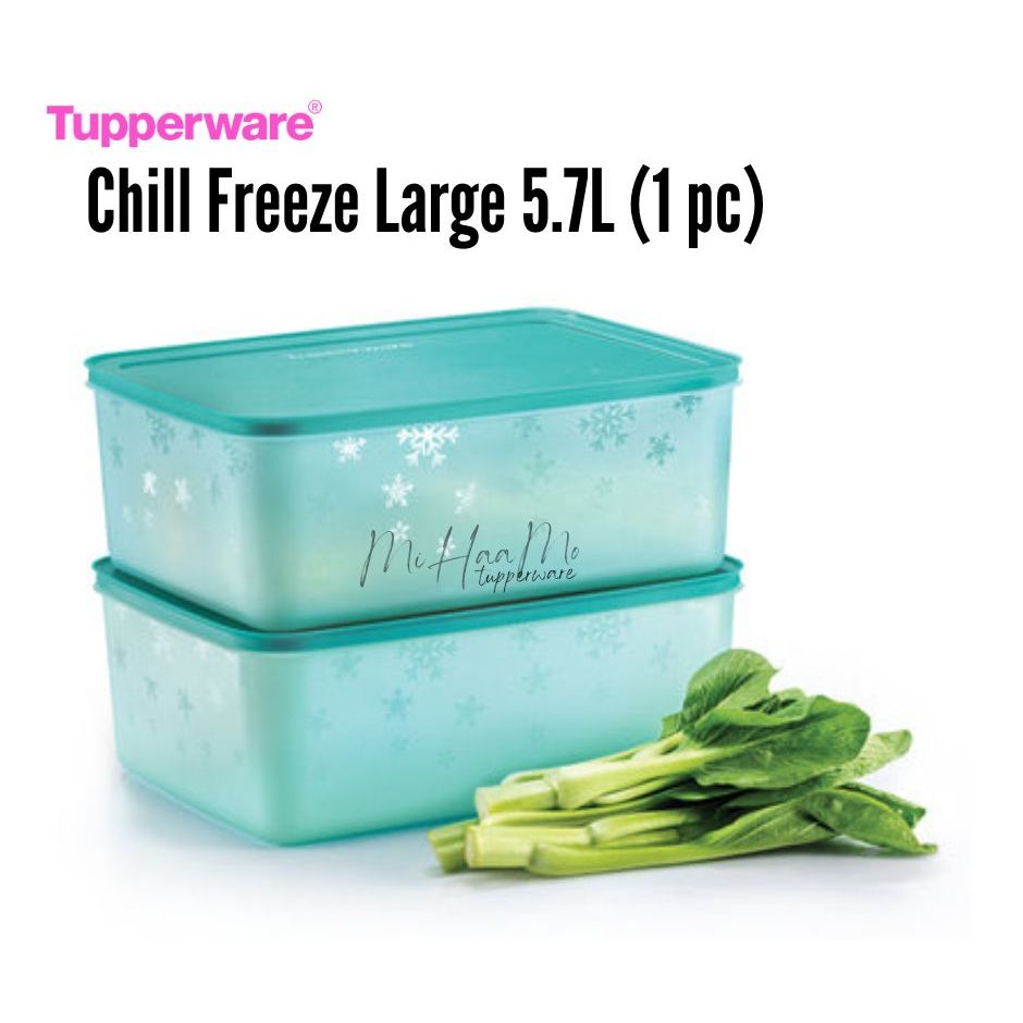 Tupperware Chill Freez Large 5.7L (1pc) | Shopee Malaysia
