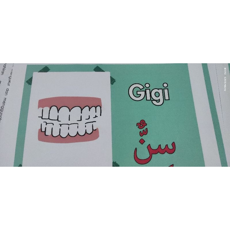 flashcard kad imbas body part bahagian badan BM BI Arab Jawi BBM DESIGN ...