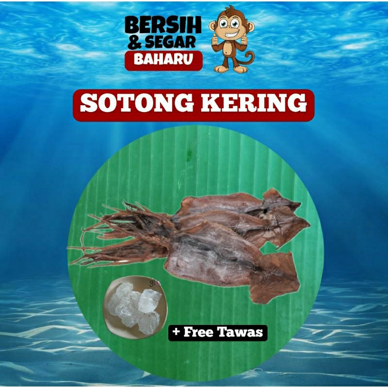 SOTONG Kering Pangkor + Free Tawas Rendam ( 100g / 500g ) | Shopee Malaysia