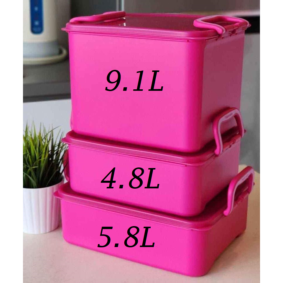 *5.8L 1pc*Tupperware Treasure Kimchi Keeper Set 4.8L/5.8L/9.1L Pink ...