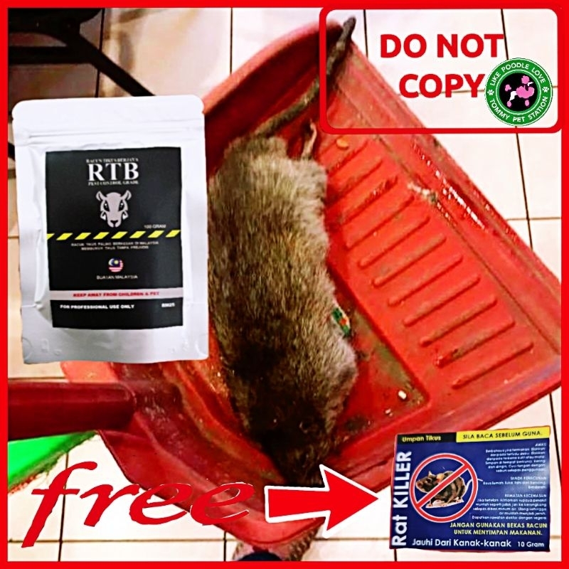 Pest Control Tikus Rat Mouse Mice RTV RTB Original 100g | Shopee Malaysia