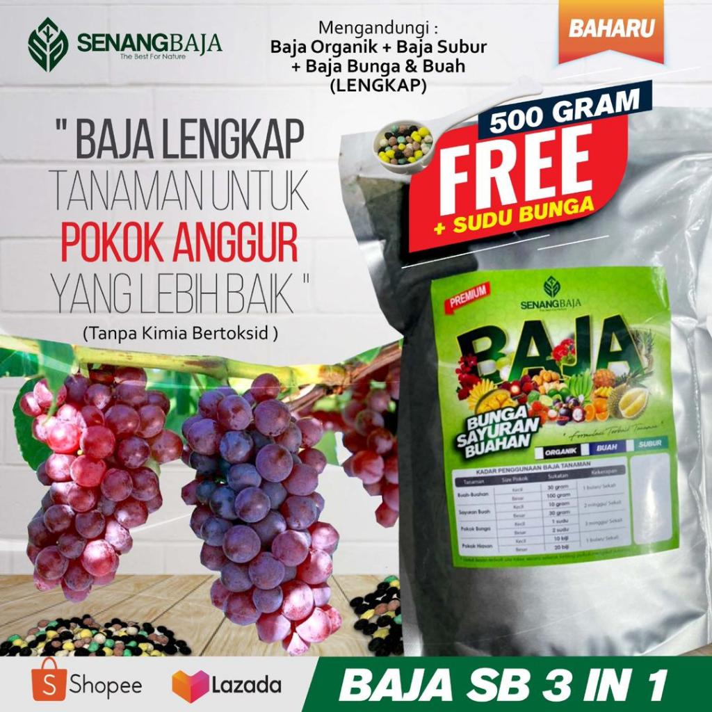 Baja Buah - Buahan , Sayur - Sayuran dan Tumbuhan | Shopee Malaysia