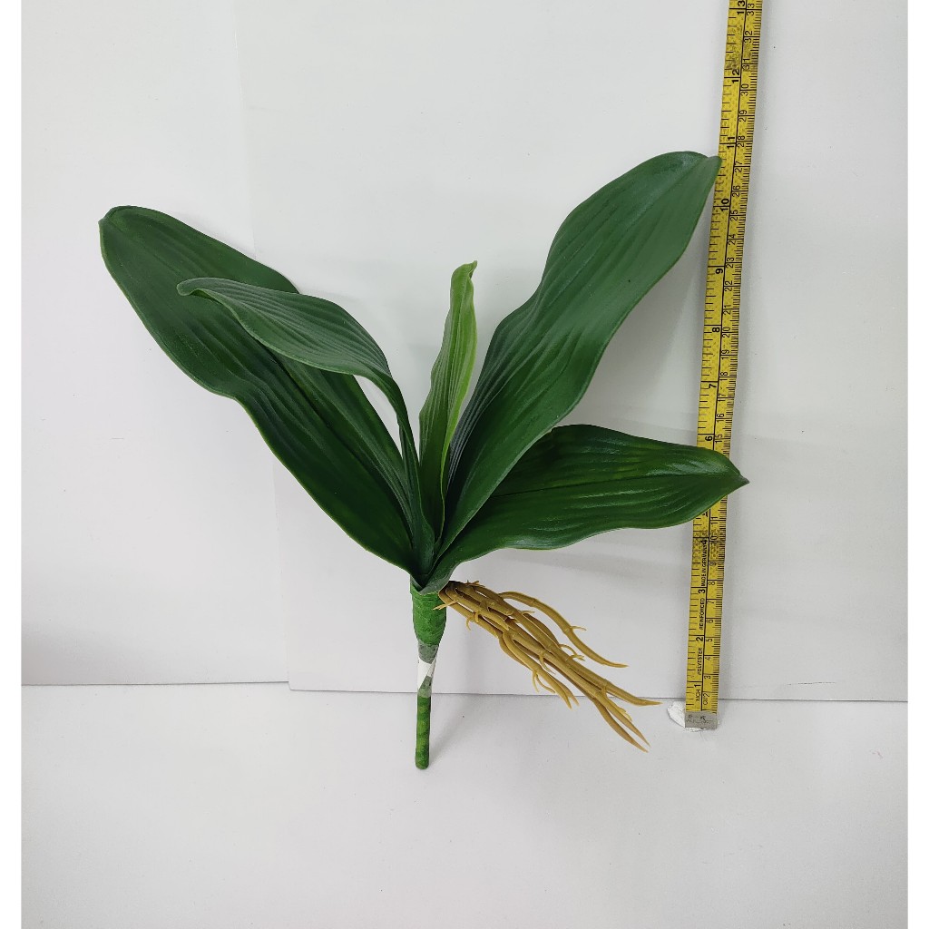 Daun daun okid orchid jambak dekorasi bunga | Shopee Malaysia