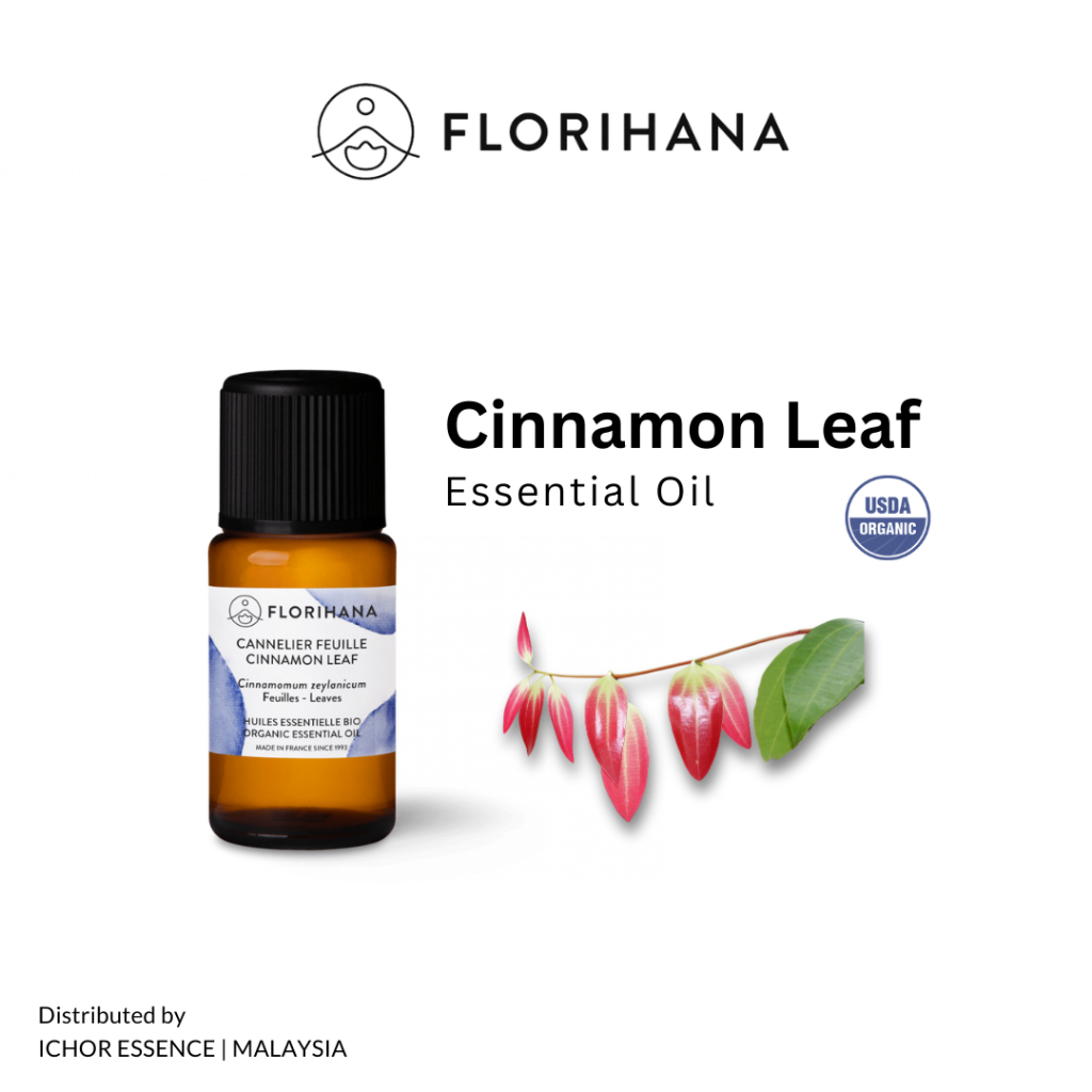 FLORIHANA Cinnamon Leaf Organic Essential Oil 锡兰肉桂枝/叶精油 France Imported ...