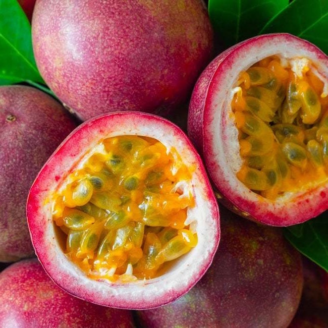 Anak Pokok Markisa/Passion Fruit Merah | Shopee Malaysia