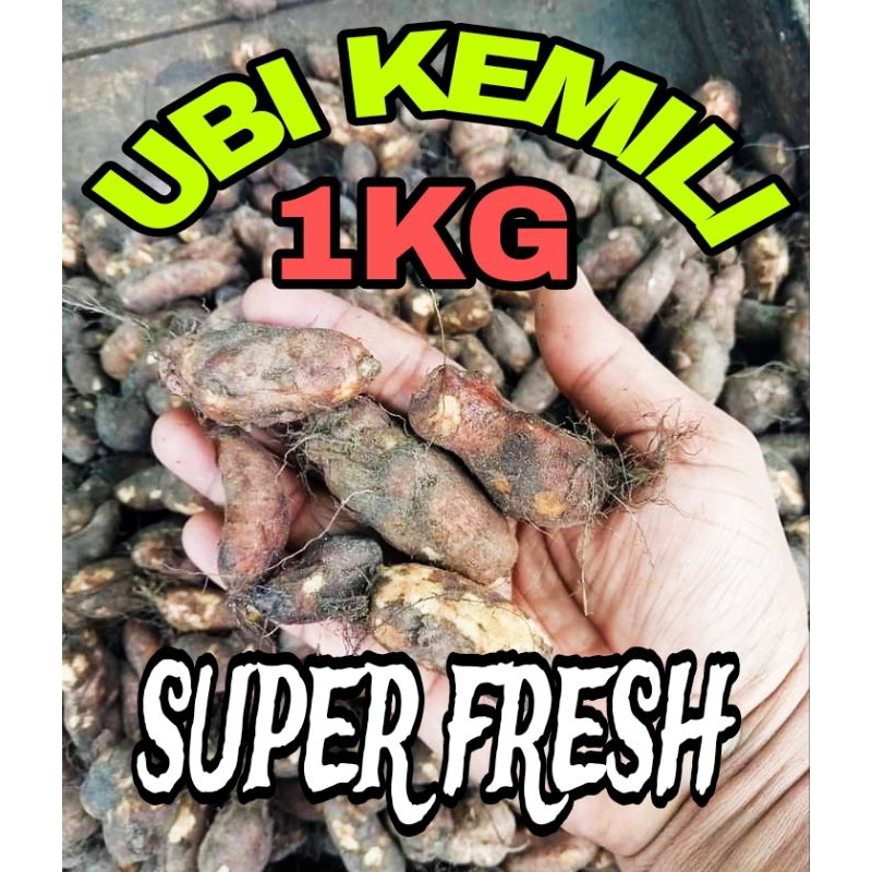 UBI KEMILI 1KG FRESH SUNGGUH / UBI KELIM | Shopee Malaysia