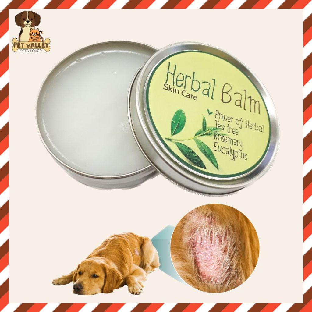 HERBAL BALM DOG CAT SKIN DISEASE CREAM 45G UBAT KULIT KUCING | Shopee ...
