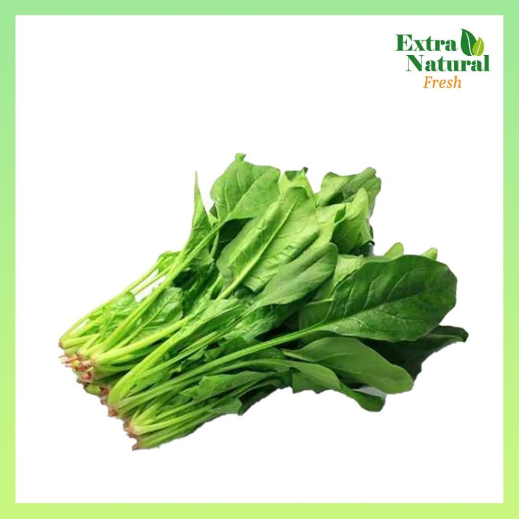 Fresh Hong Kong Spinach 1pkt (+/-200g) |Fresh Vegetable| [Extra Natural ...
