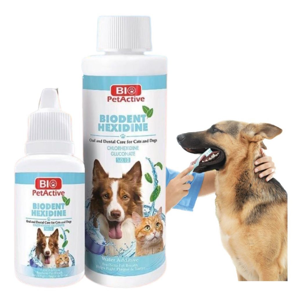 BioPetActive Biodent Hexidine | Oral Dental Care Cat Dogs Fresh Breath ...