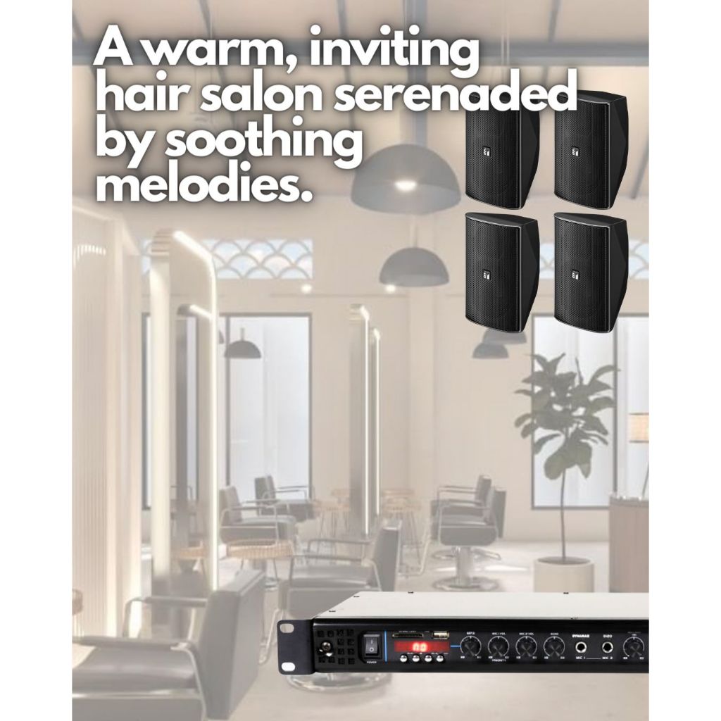 DYNAMAX D120 PA Amplifier & 4 TOA F-1000BT Speaker System for Salon ...