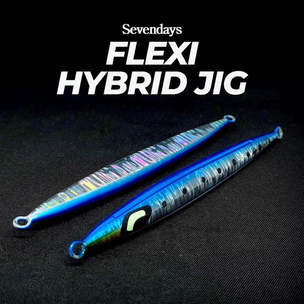 Flexi Hybrid Jig 100g - 300g Double Function Metal Heavy Jigging Slow ...