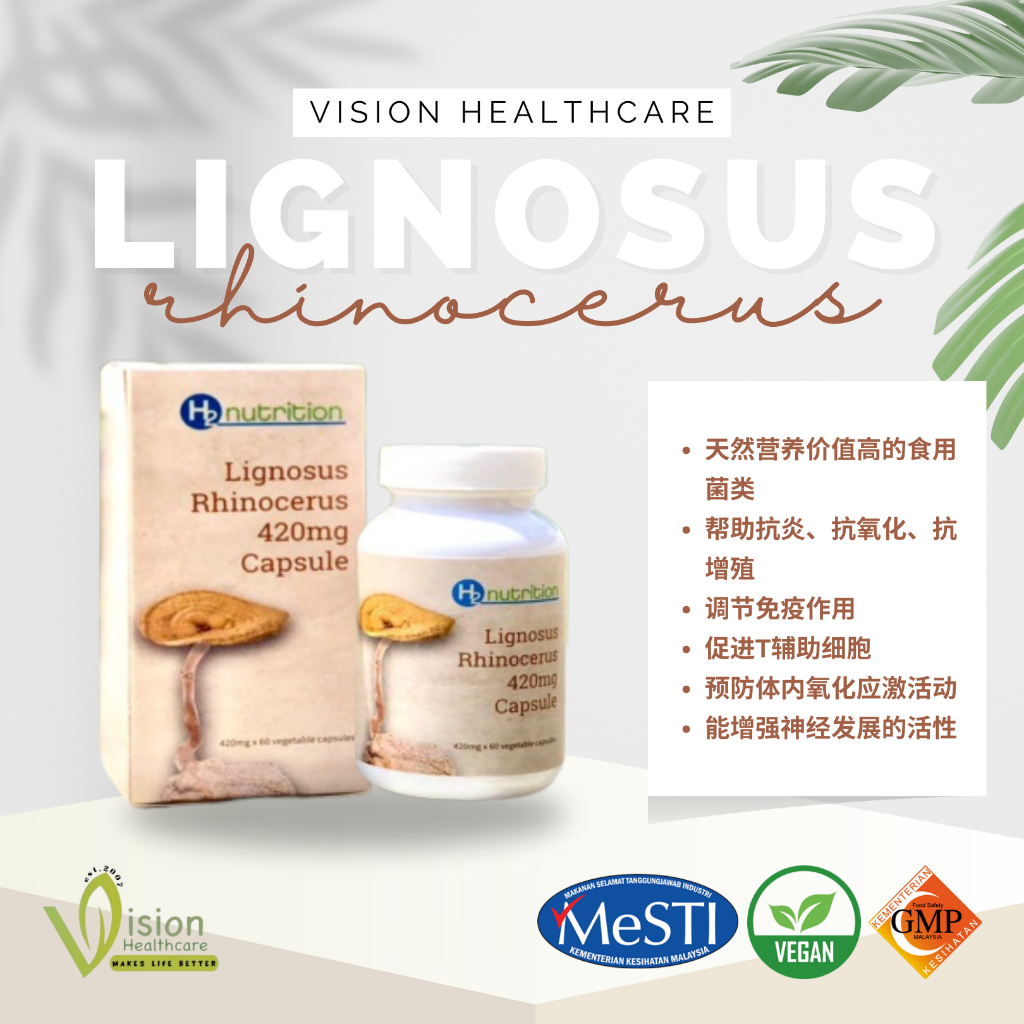 Wild Tiger Milk Mushroom Lignosus Rhinocerus 420mg | Hu Ru Ling Zhi ...