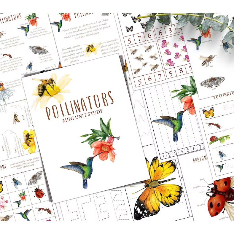 PDF] Pollinators Unit Study Bee Butterfly Home Learning Kids Printable ...