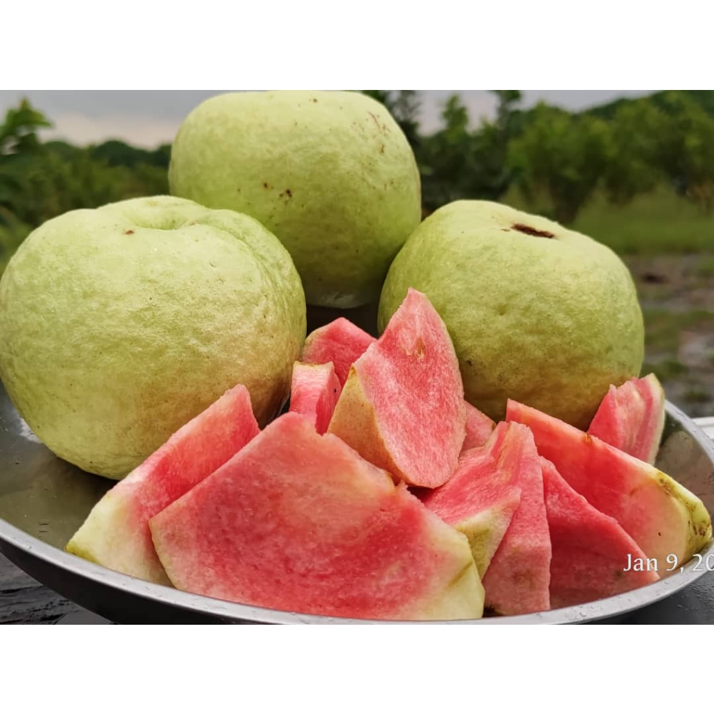 Shopee Malaysia | Free Shipping Across Malaysia