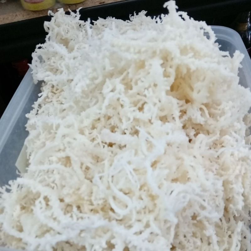 BULUNG/RUMPUT LAUT BASAH | Shopee Malaysia