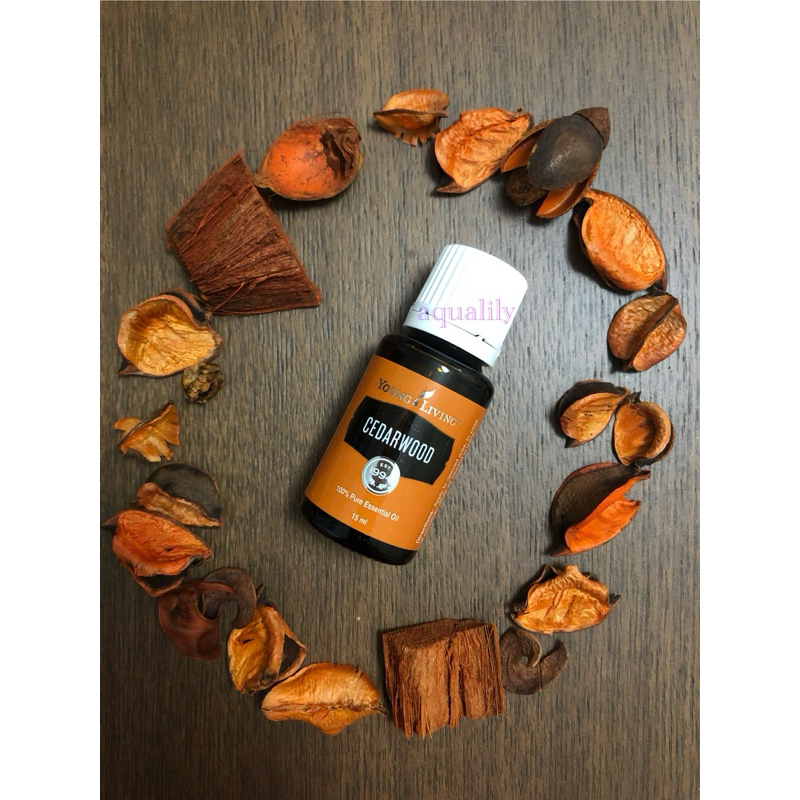 Young Living Cedarwood Essential Oil 1ml (Repack) / 2ml (Repack ...