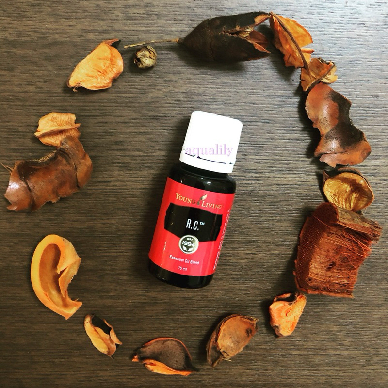 Young Living R.C. Essential Oil Blend 1ml (Repack) / 2ml (Repack ...