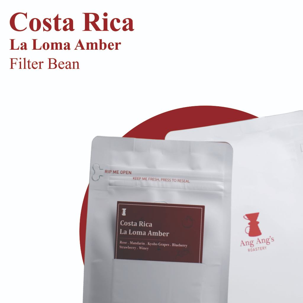 Ang Ang's Roastery "Limited Series" Single Origin Coffee Bean - Costa Rica La Loma Amber (200g ...