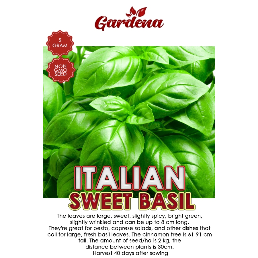 800+ BIJI BENIH ITALIAN BASIL Sweet Basil Genovese Seeds 罗勒 | Shopee ...