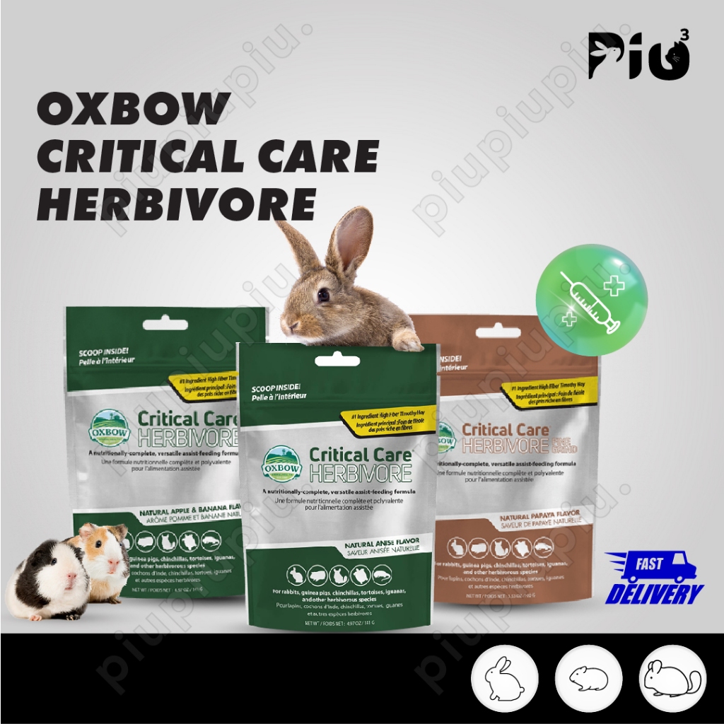 [24HR SHIP] OXBOW CRITICAL CARE HERBIVORE 141g 454g Anise Apple Banana ...