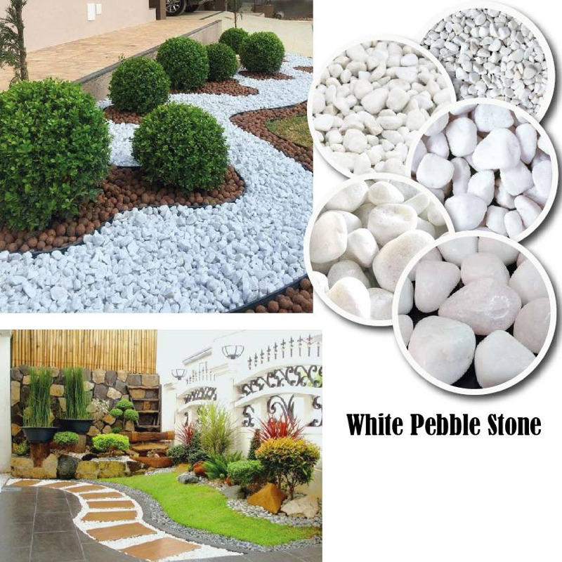 Pebble Wash Stone Floor Chipping Pebble Gardening Landscape Aquarium ...