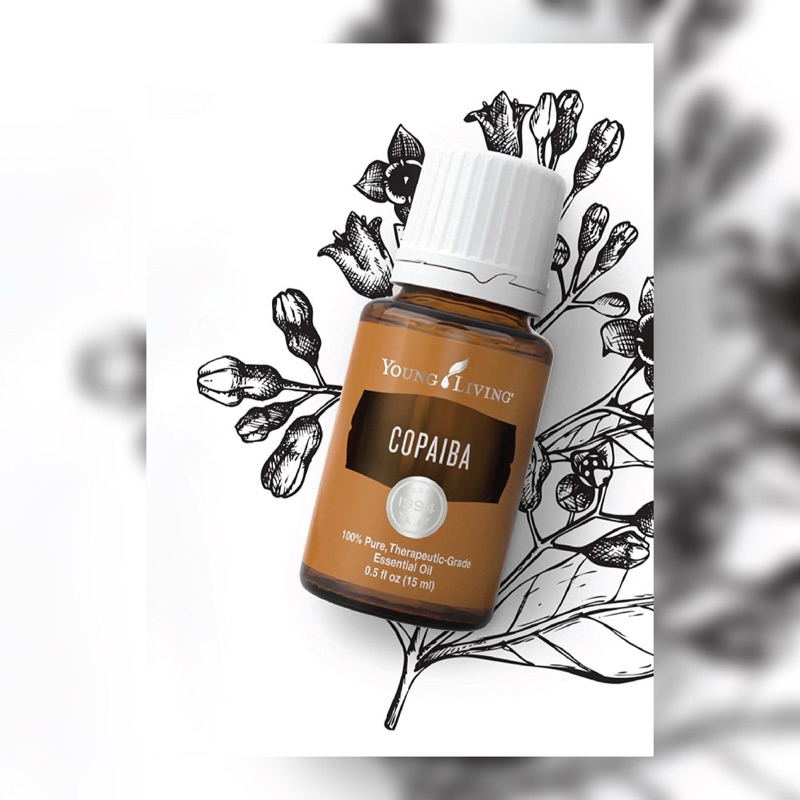 Young Living Copaiba Essential Oil (15ml) | Shopee Malaysia