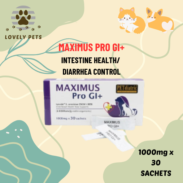 PETDIATRIC Maximus Pro GI + (Probiotic) For Cats&Dogs (30sachet ...