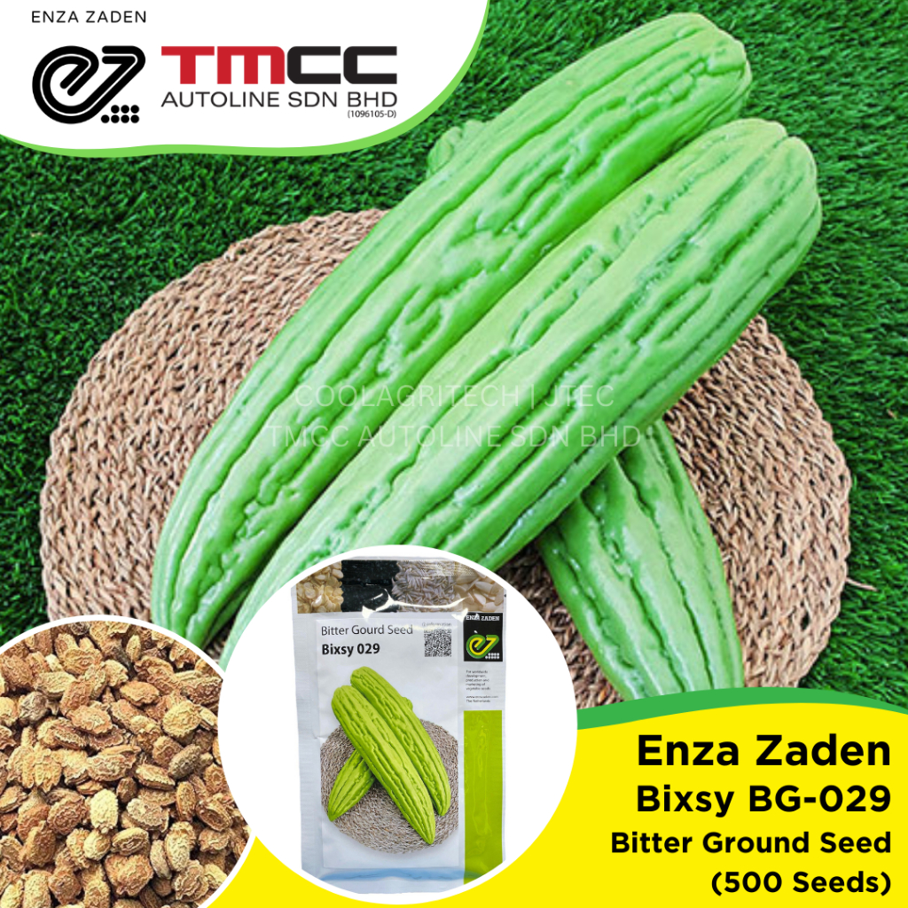 Enza Zaden - Bitter Gourd Seed - BIXSY BG-029 (500 Seeds) | Shopee Malaysia