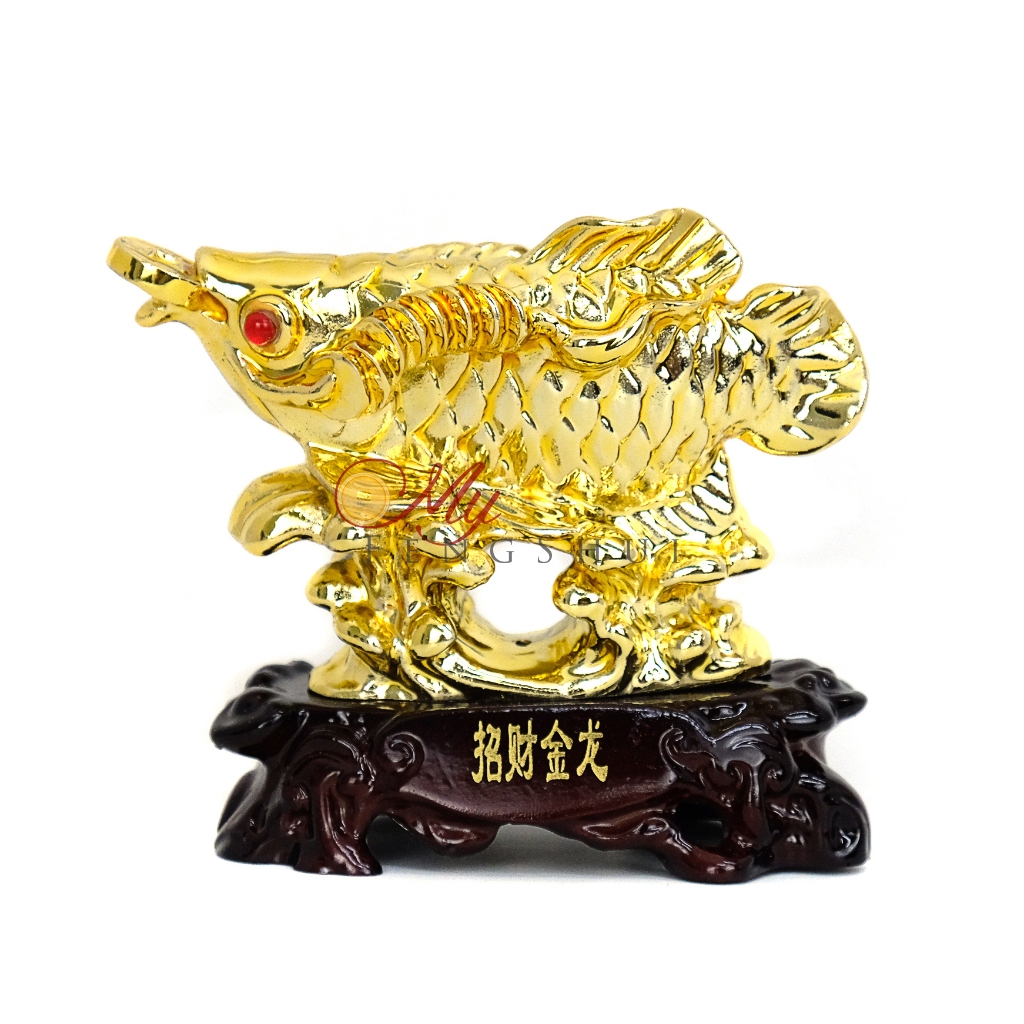 Feng Shui Golden Arowana Fish for Attract Wealth Dragon Fish 金龙鱼 ...