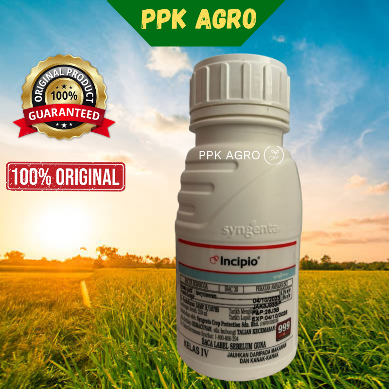 250ML Incipio Syngenta Insecticide Racun Serangga Paddy Padi ...