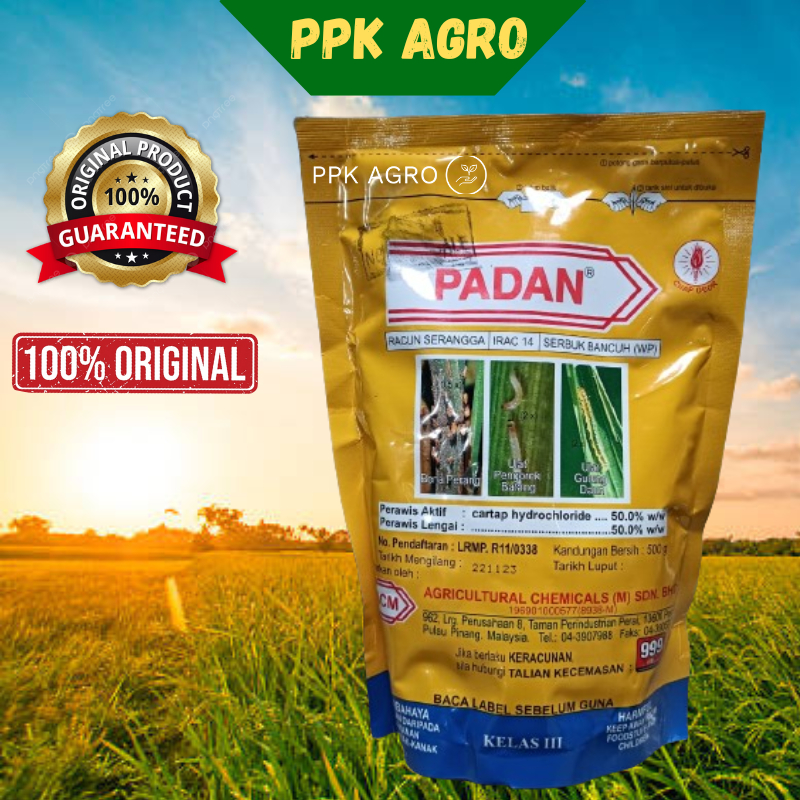 500G PADAN ACM Cartap Hydrochloride 50% Insecticide (Same As Akatap 50SP) Racun Serangga Bena ...