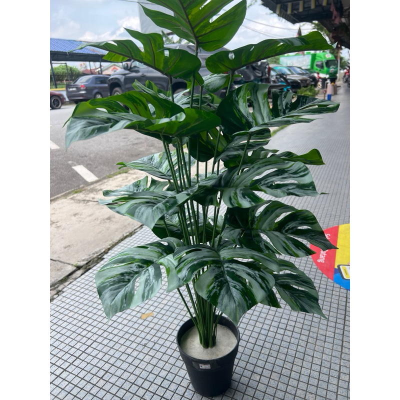 pokok@mutiara@80cm@cm | Shopee Malaysia