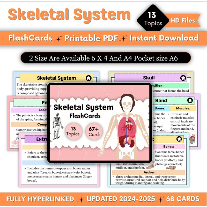 Skeletal Flashcards | Skeletal System Flashcards | Study Guide ...