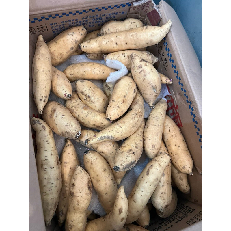 金马伦 蜜糖番薯🍠 1KG UBI Cameron Highlands sweet potato | Shopee Malaysia