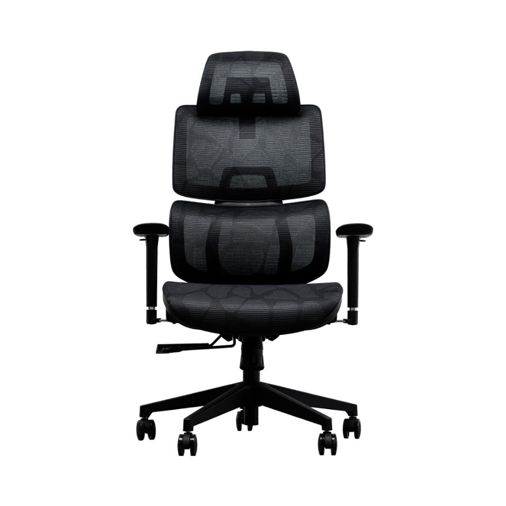 EVIS Ergonomic Chair Mesh Material Ultimate Breathable Comfort ErgoX ...