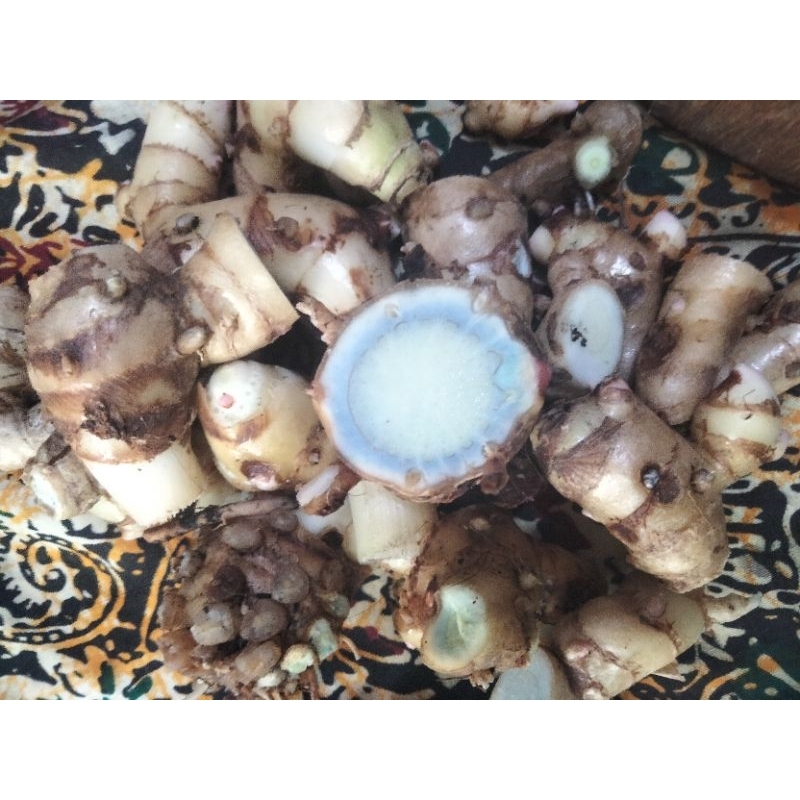RIZOM TEMU HITAM/IRENG(100g) | Shopee Malaysia