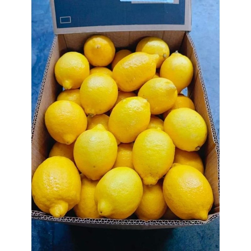 fresh lemon - Prices and Promotions - Jun 2026 | Shopee Malaysia