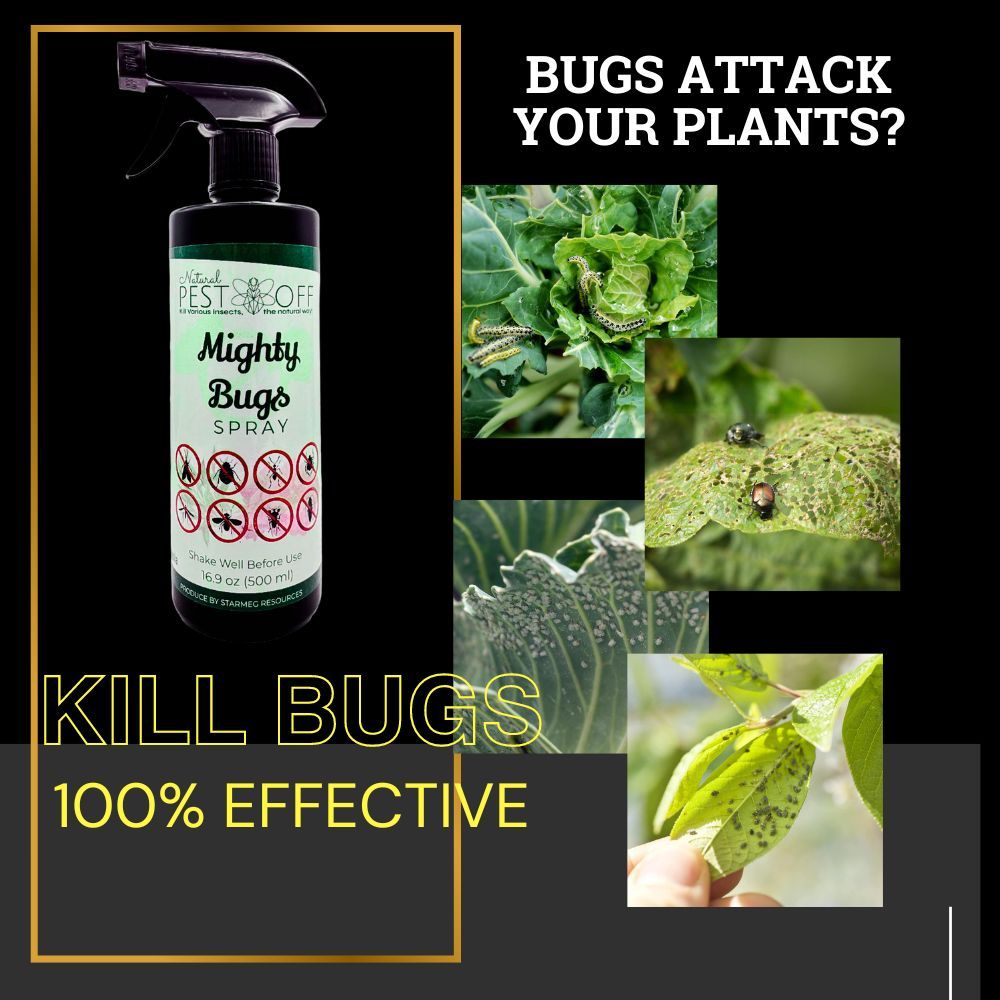 Mighty Bugs Spray Bunuh dan Halau Serangga yang Mengancam Tumbuhan ...