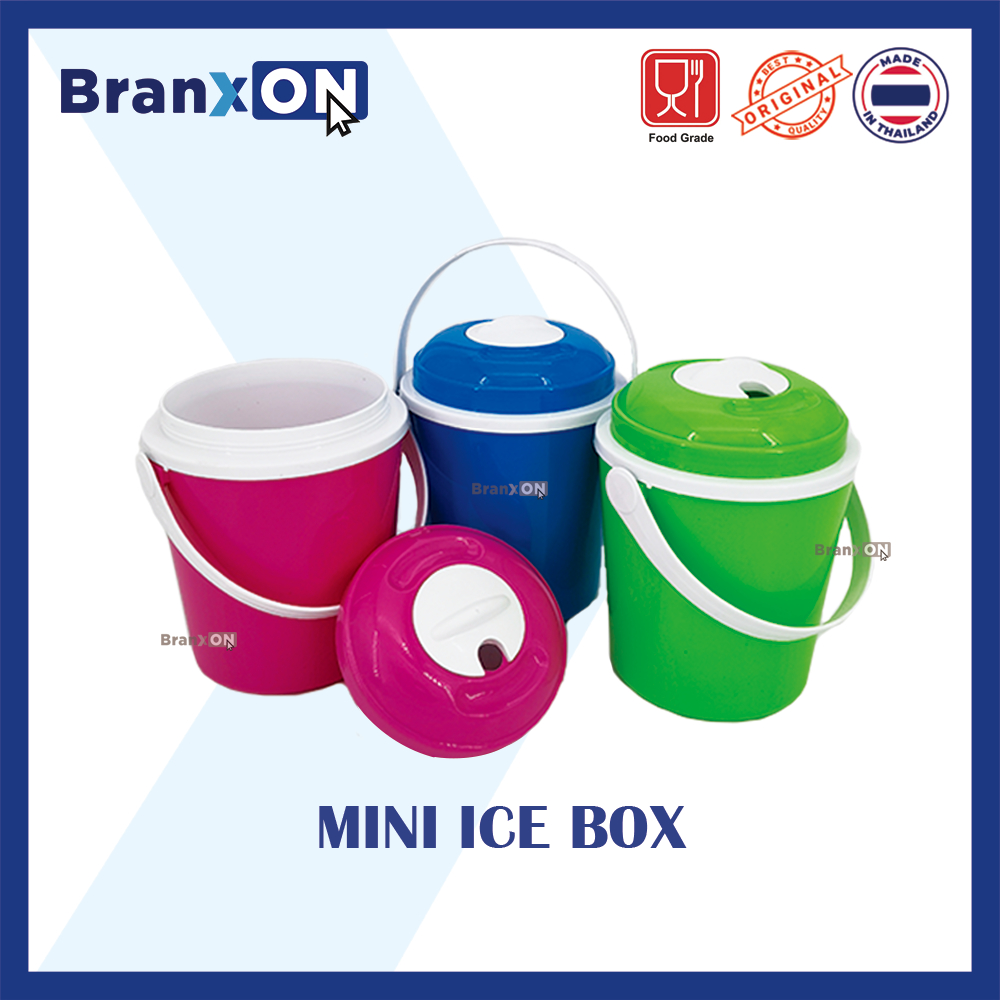 Plastic Mini Ice Box Cooler Picnic with Lid Keep Warm Cold | Shopee ...