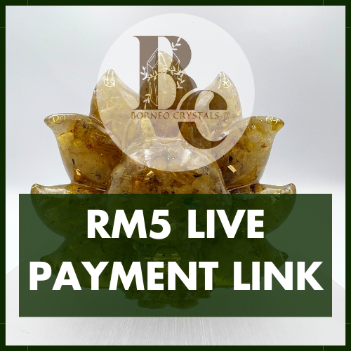 SHOPEE LIVE PAYMENT LINK RM5 | Shopee Malaysia