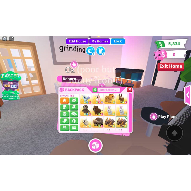 SELLING MY NEON PETS | Shopee Malaysia