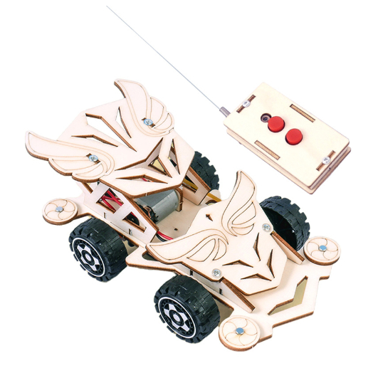 PROJECT RBT/DIY Assembled RC Racing Car Model Kit Wooden Kids Science ...