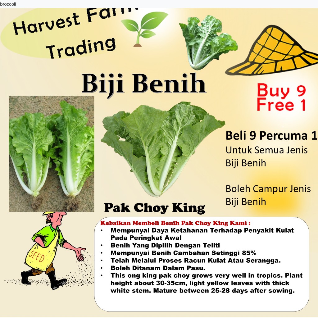 biji benih sayur sayuran pelbagai bunga vegetable seed bibit anak pokok ...