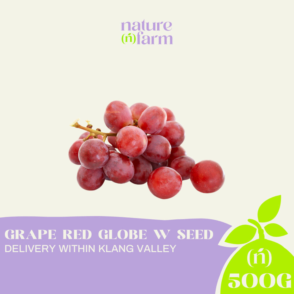 Nature Farm Grape Red Globe with Seed /Glob Merah Anggur (500G+-/PKT ...