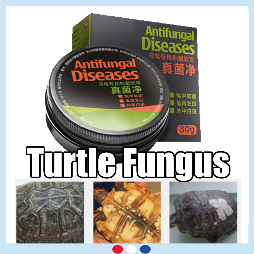 PETSEA Turtle Medicine Shell 乌龟药 Ubat Kura Kura Brazil 乌龟用品 Tortoise ...