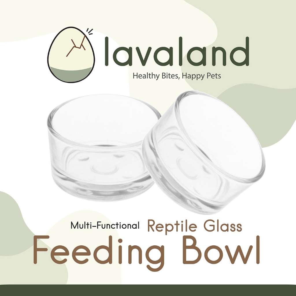 Lavaland - Reptile Terrarium Water Bowl Spider Lizard Scorpion Corn ...