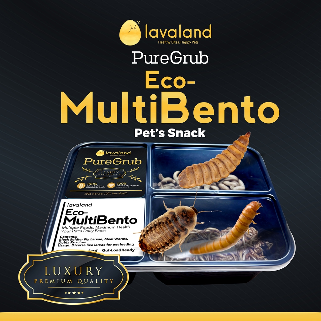 Lavaland - PureGrub - Eco-MultiBento | Multiple Pet Snack | Phoenix ...