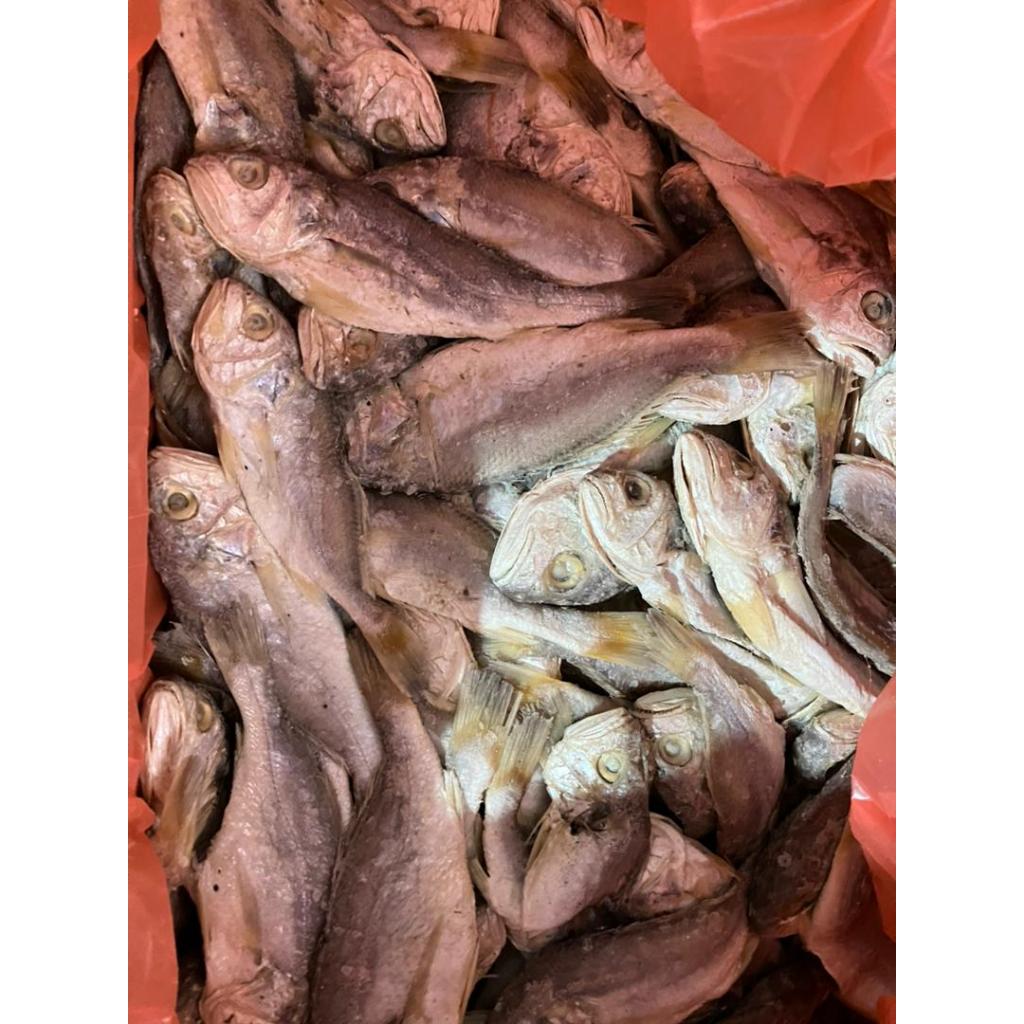 GELAMA MASSAM / IKAN GELAMA MASSAM (1KG) | Shopee Malaysia